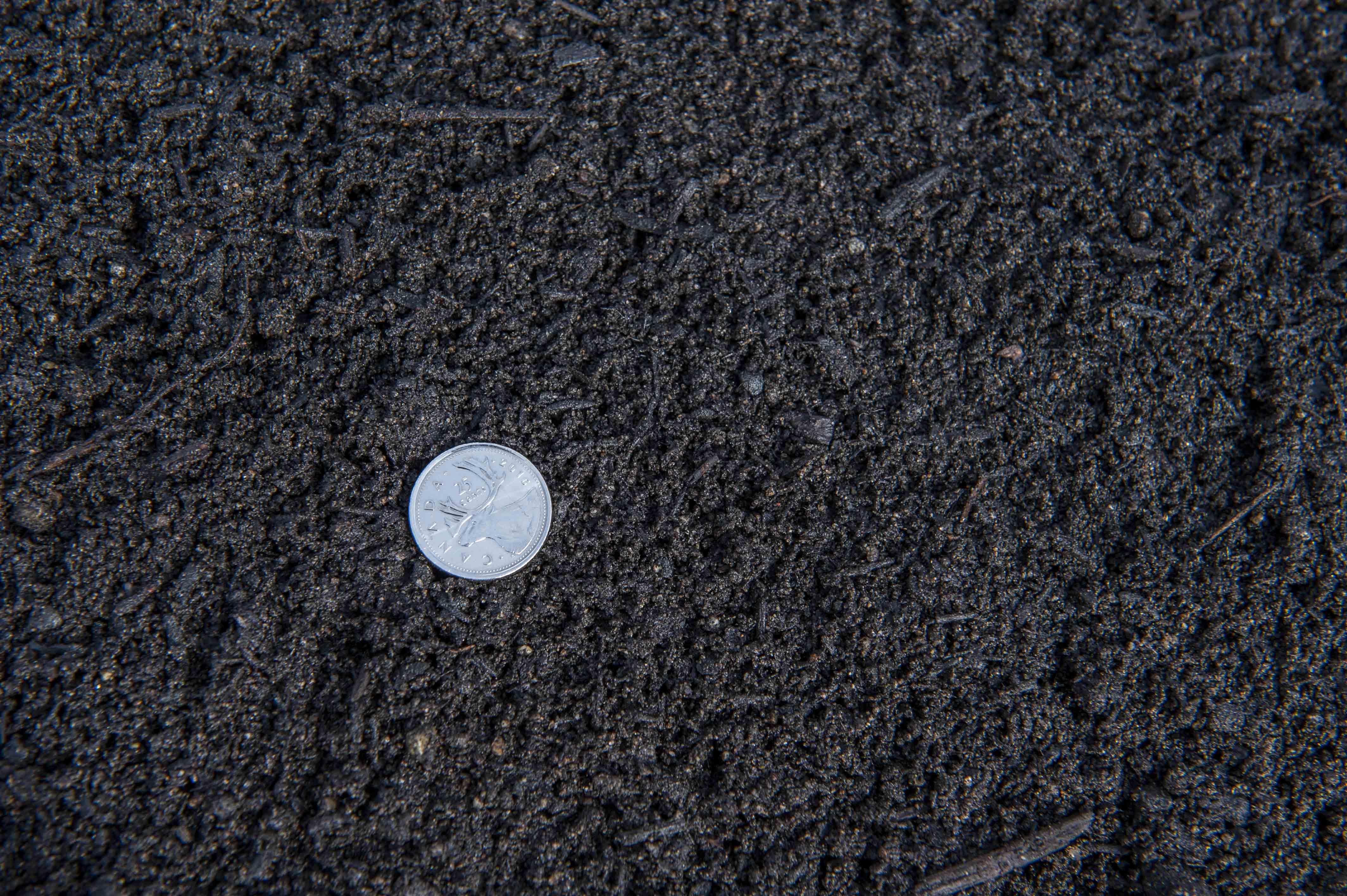 RD Landscaping Inc. - Nature's Gold Soil Type 2