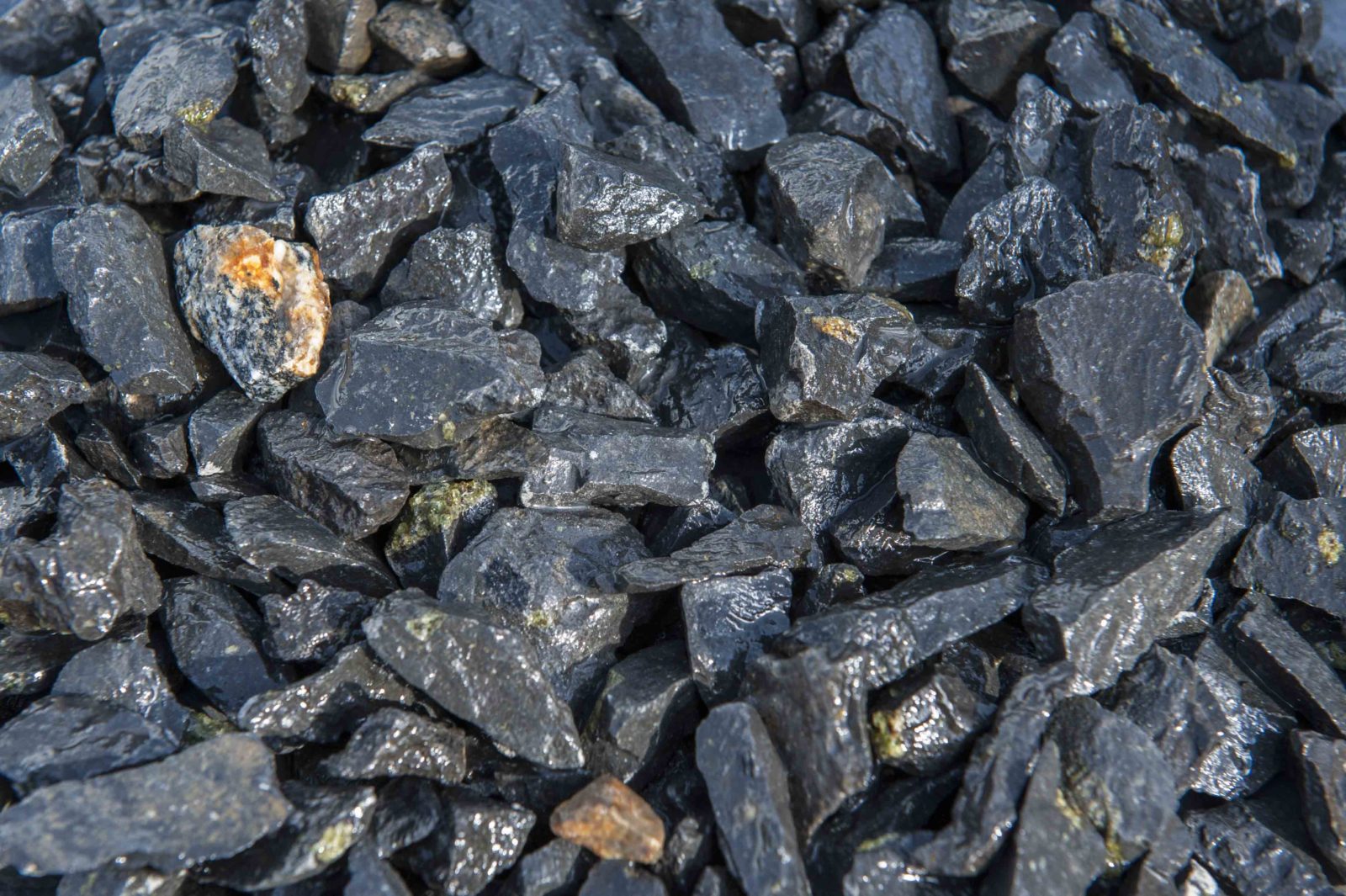 About RD Landscaping Inc. - Kelowna Landscape Specialists