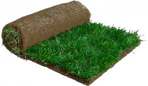 turf image