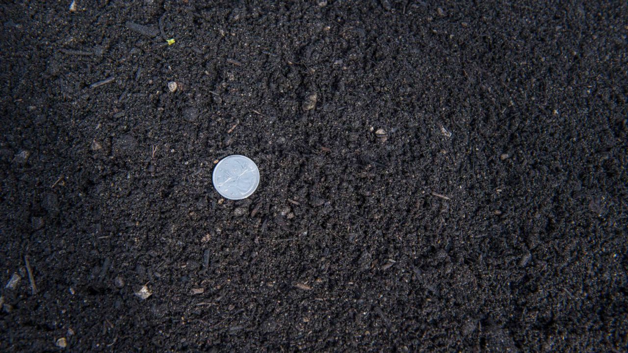 RD Landscaping Inc. - Nature's Gold Soil Type 4